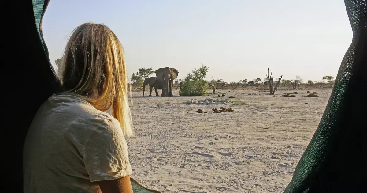 19 things to know before visiting Botswana - Lonely Planet