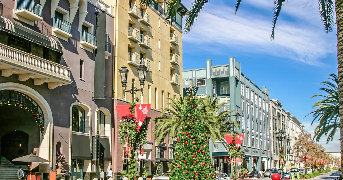 The 11 best things to do in San Jose, California - Lonely Planet