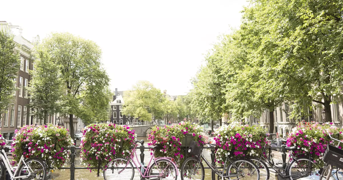 Amsterdam will use flowers to keep its bridges clear of locked bicycles ...