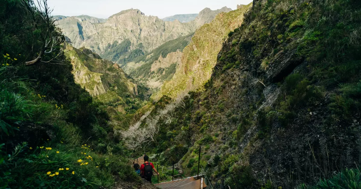 Guide to Madeira - Lonely Planet