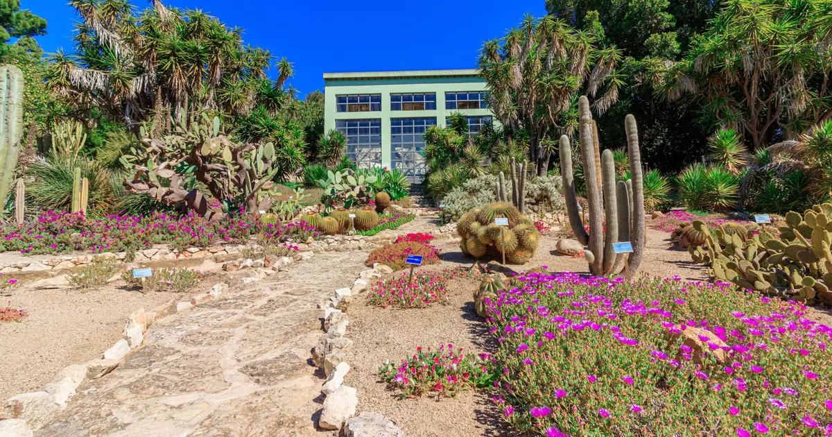 The 8 best places to visit in Sardinia - Lonely Planet