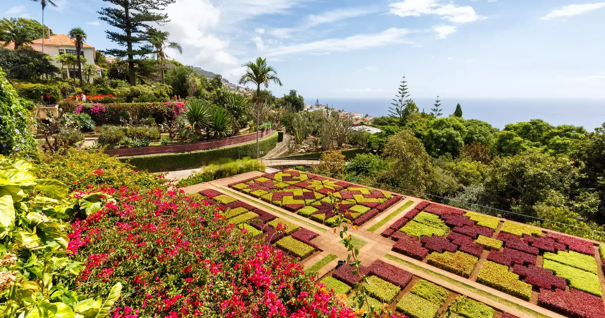 14 of the world's best places to see flowers in bloom - Lonely Planet