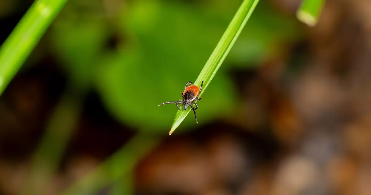 Living conditions in Seoul set to improve after Parasite film wins at ...