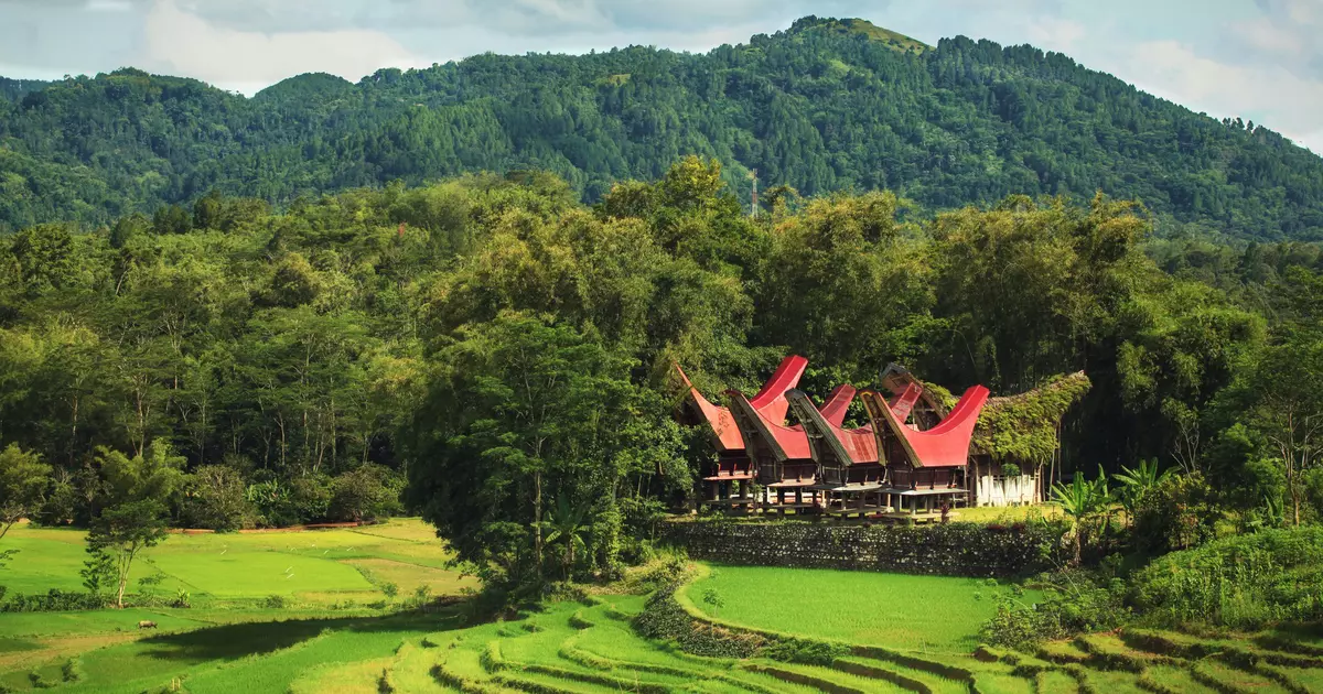 Take in the highlights of Sulawesi, Indonesia, on this 9-day itinerary ...