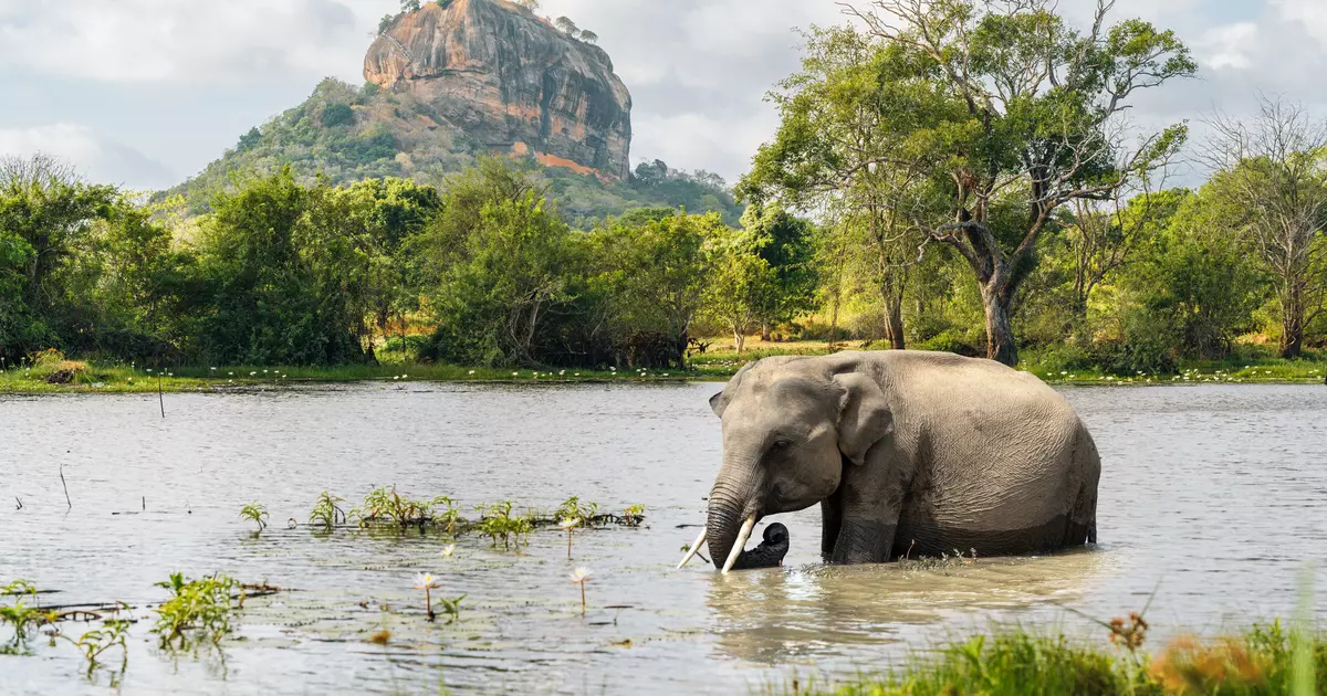 13 best places to visit in Sri Lanka - Lonely Planet