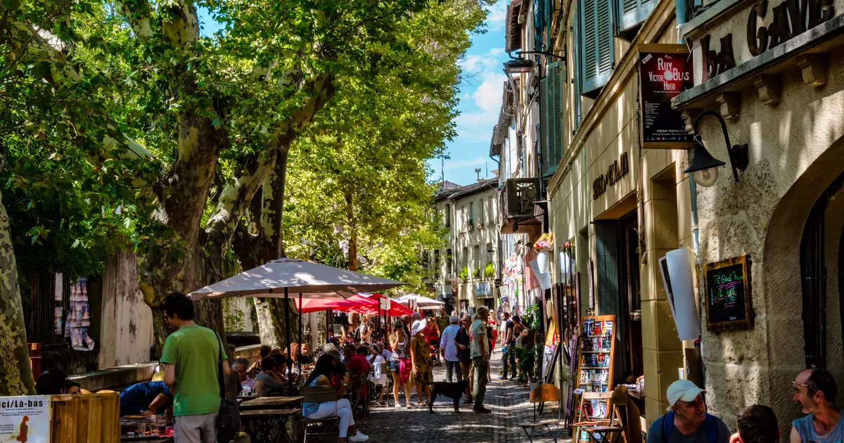 The 14 best things to do in Avignon, France - Lonely Planet