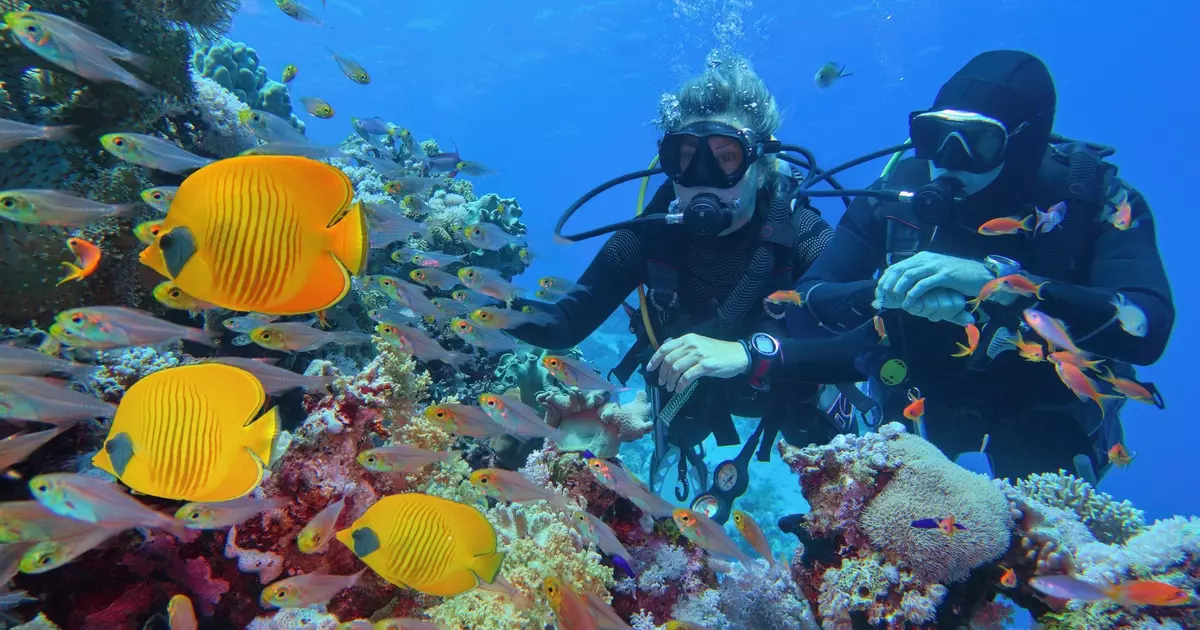 The 9 best places for diving and snorkeling in Egypt’s Red Sea - Lonely ...