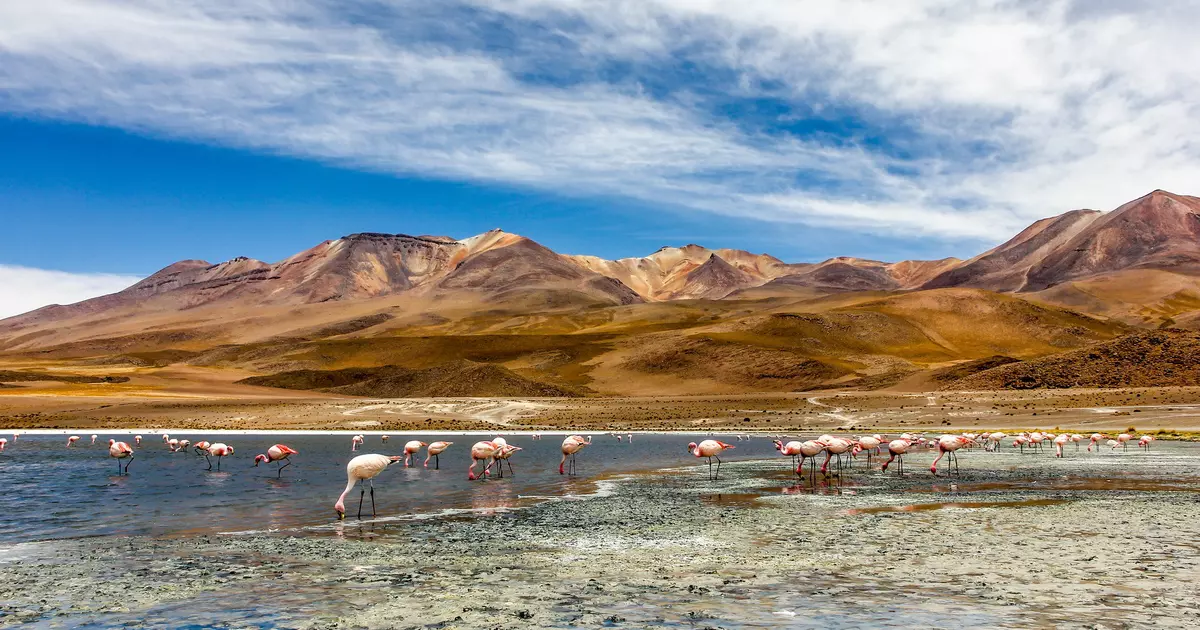 17 things to know before you visit Bolivia - Lonely Planet