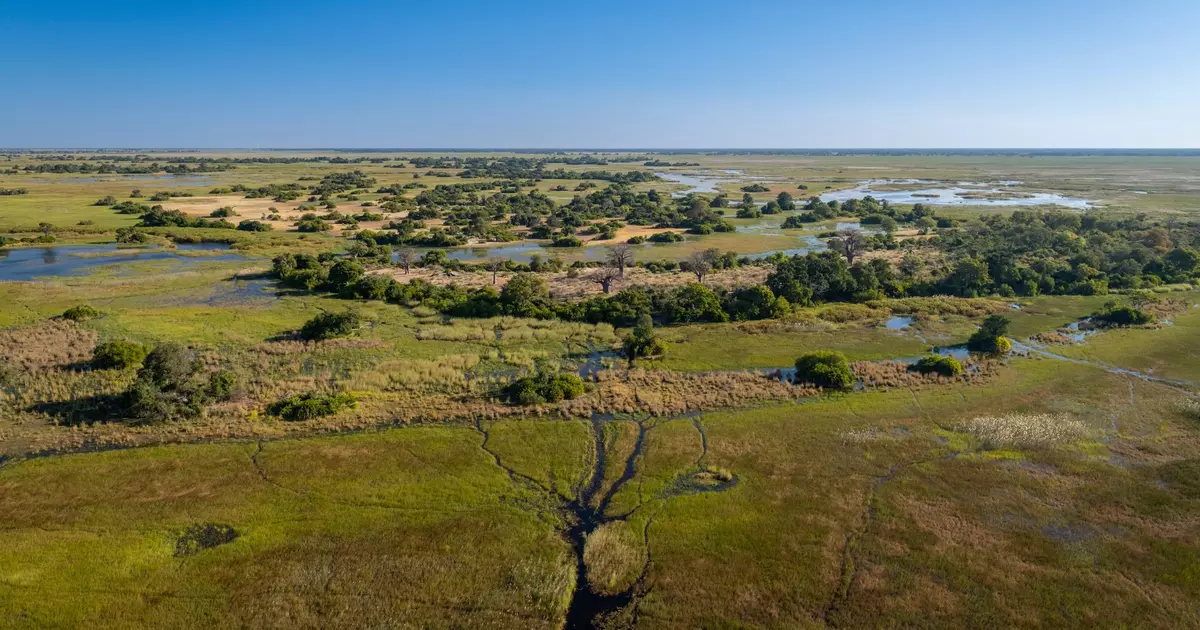A first-time guide to the Okavango Delta - Lonely Planet