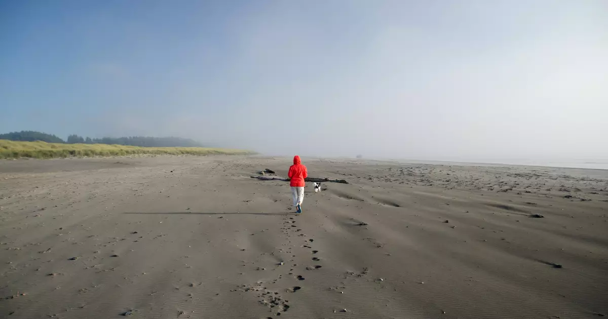 The 8 best beaches in Washington State: from idyllic inlets to endless ...