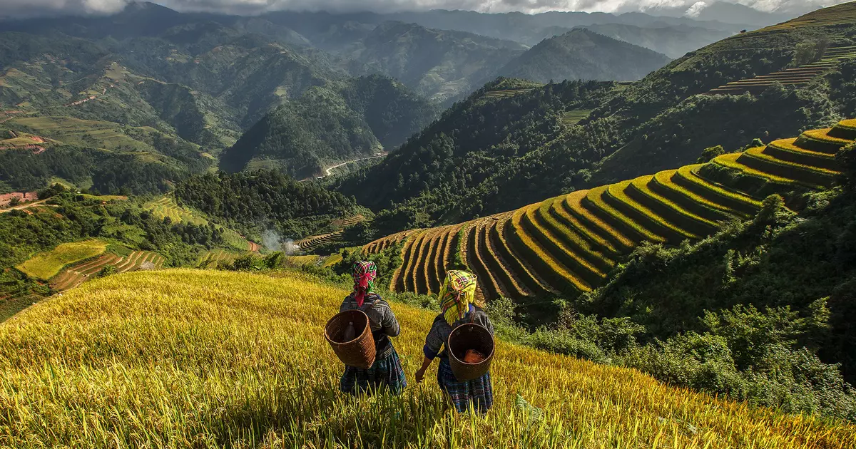 A first-time guide to Sapa, Vietnam - Lonely Planet