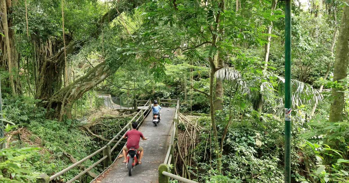 17 best things to do in Ubud - Lonely Planet