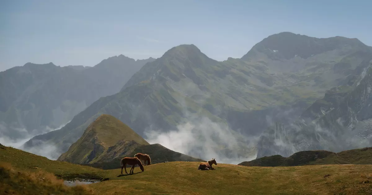 A guide to Andorra - Lonely Planet