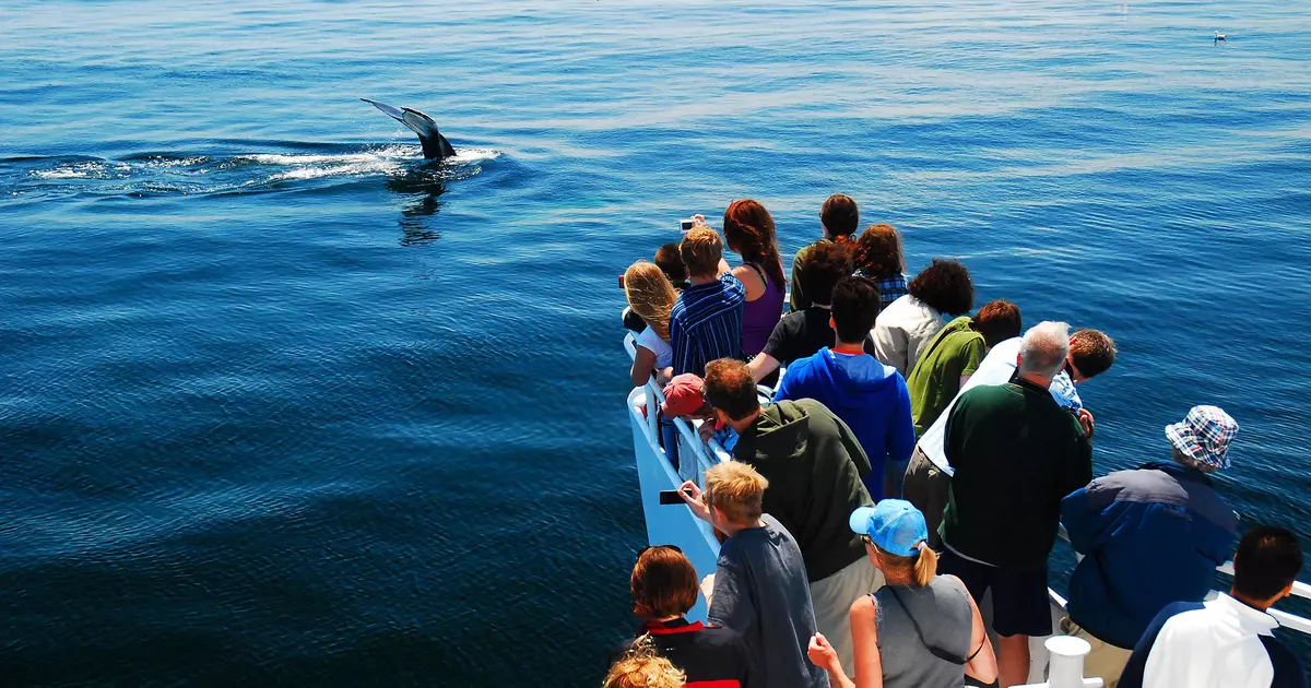 17 things you should do on Cape Cod - Lonely Planet
