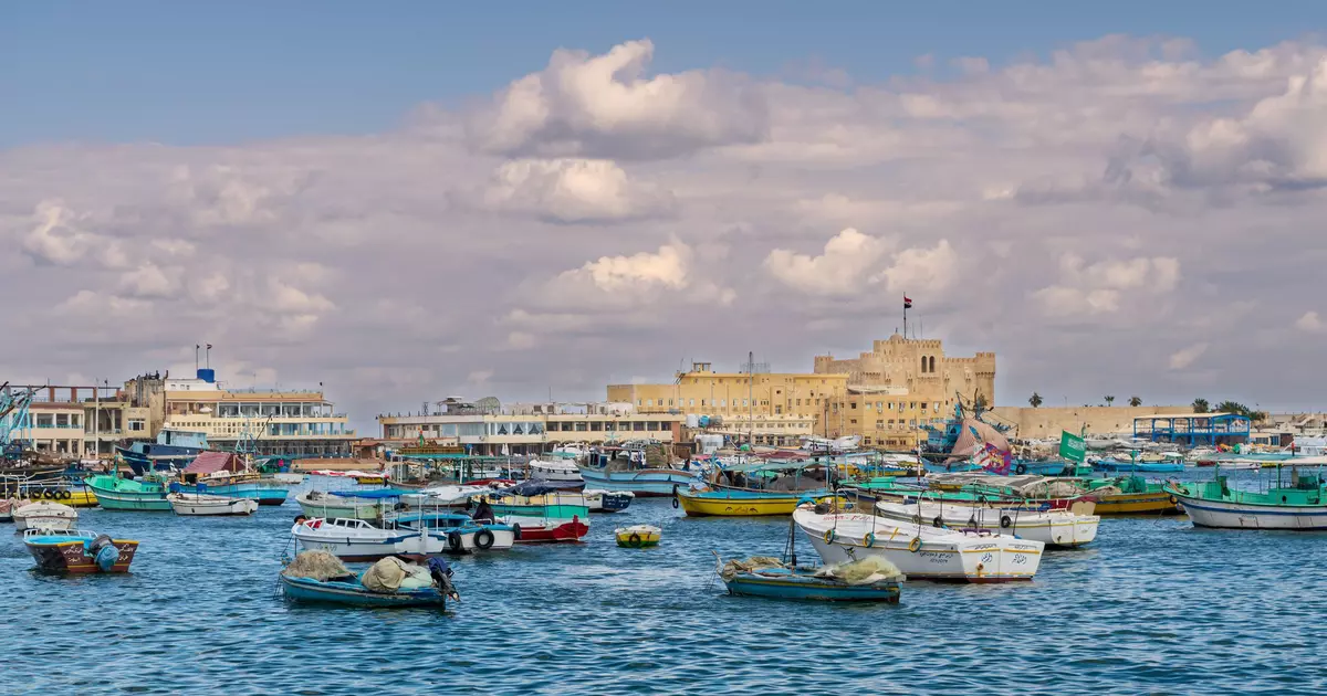 The 12 best things to do in Alexandria, Egypt - Lonely Planet
